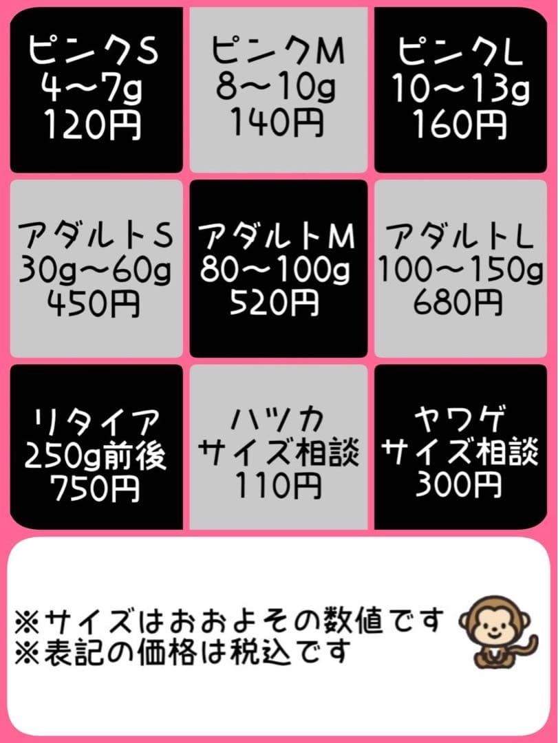 冷凍ラット50g〜60g、30匹セット！