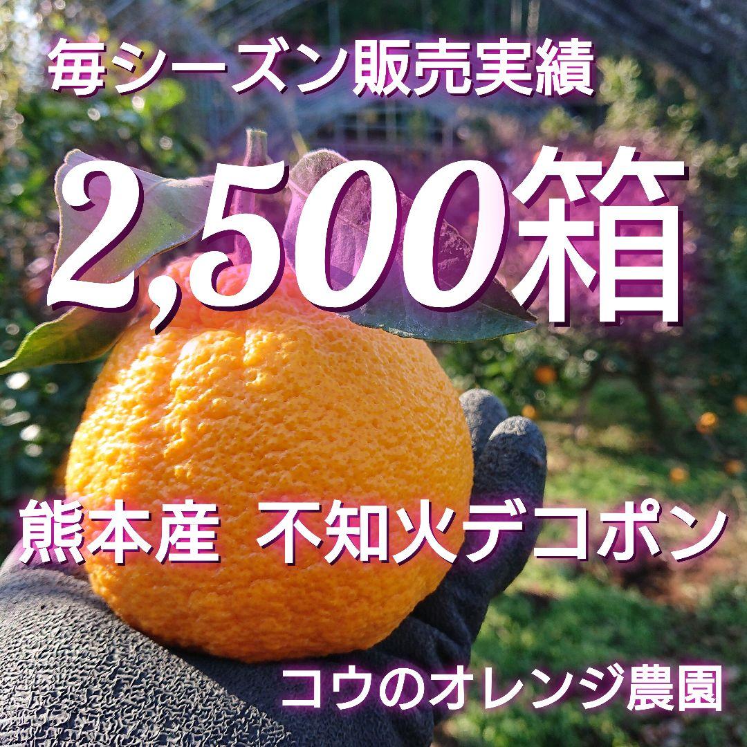 超お得な18kg 熊本産不知火デコポン 味恋みかん