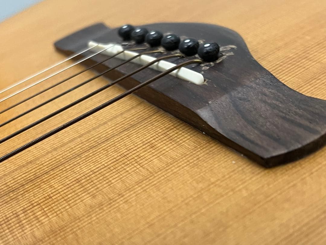 即発送 Ibanez Artwood AW250-LG