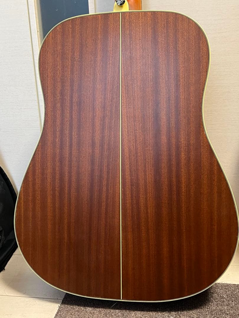 即発送 Ibanez Artwood AW250-LG