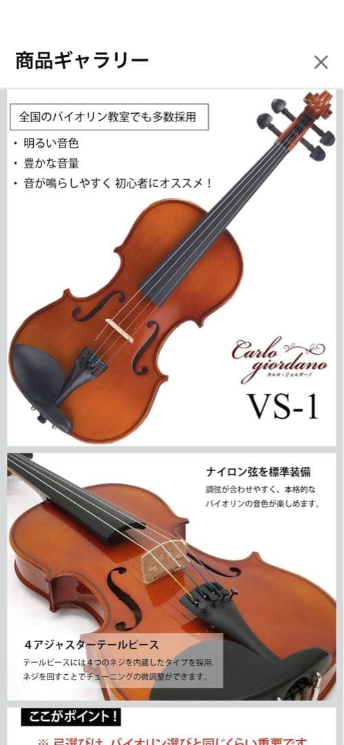 カルロジョルダーノ バイオリンセット VS-1C 1/8 美品