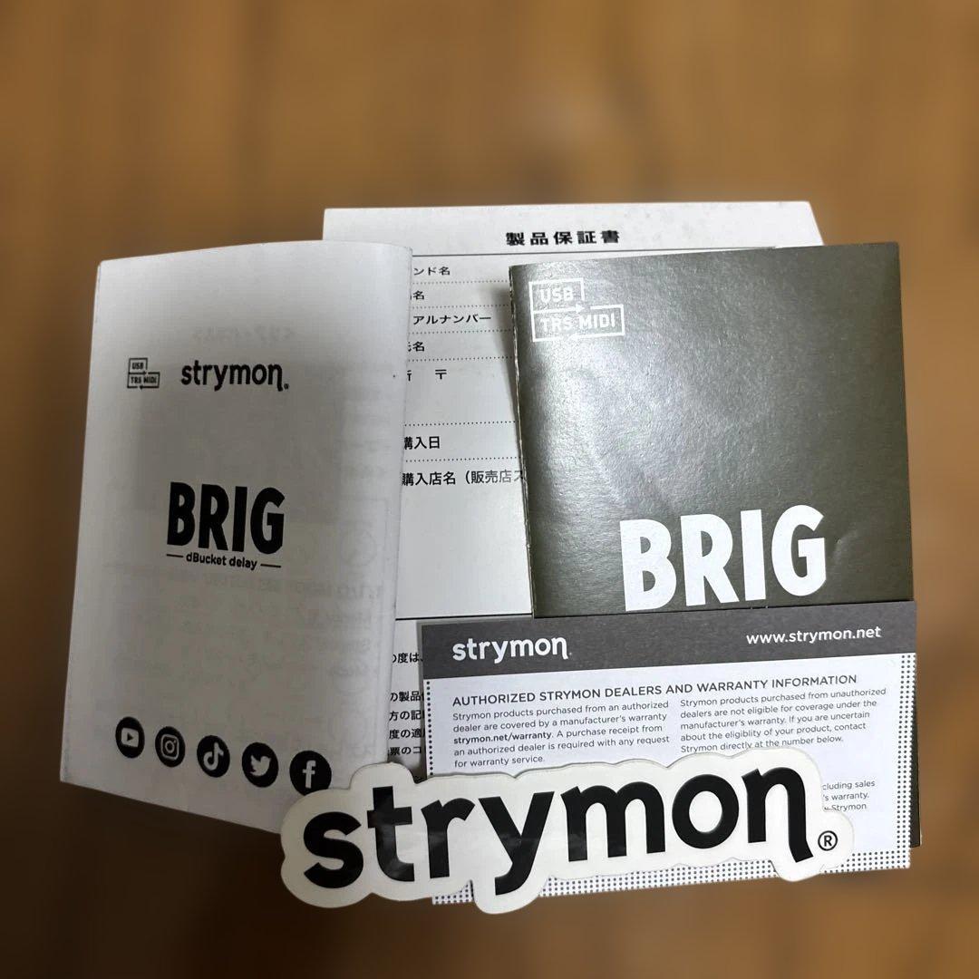 ギター Strymon BRIG dBucket delay