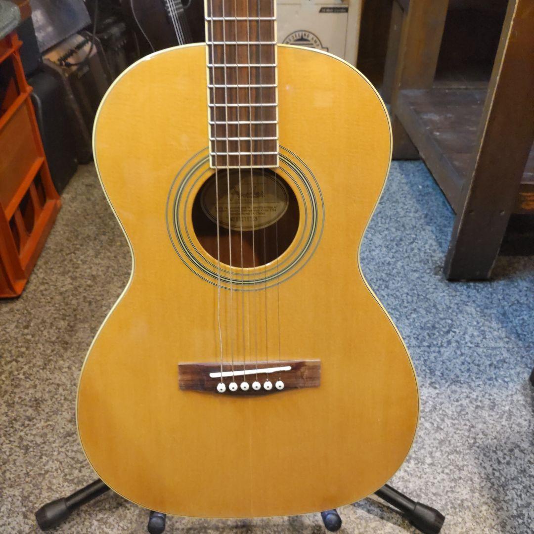 Fender GDP100 (管理テナ)