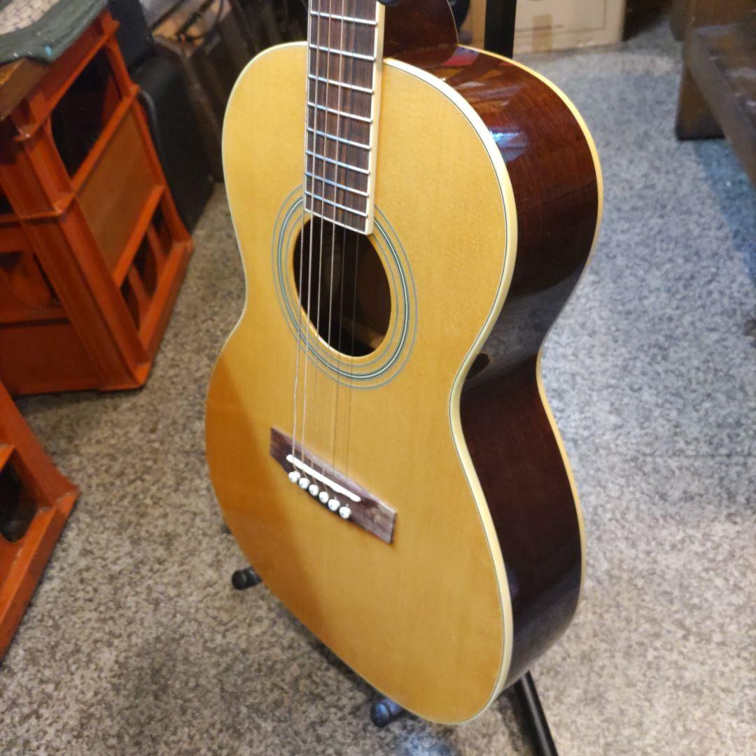 Fender GDP100 (管理テナ)