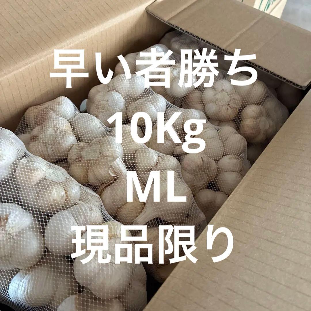 新物　青森県にんにく10Kg ML 現品限り
