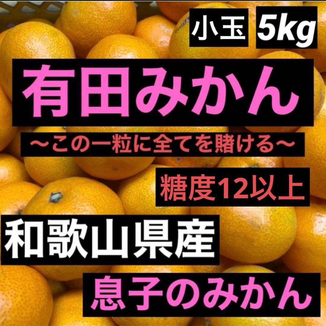 和歌山県産 有田みかん 箱込み約5kg 小玉 訳あり