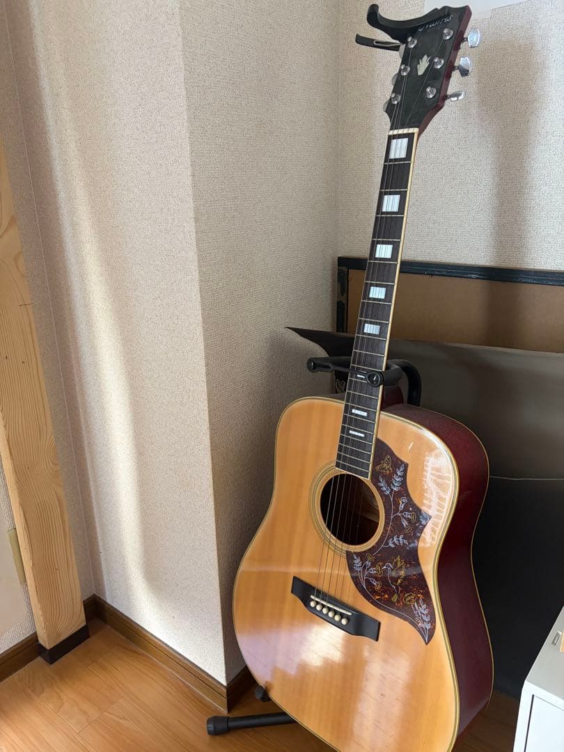 アコースティックギターモーリスmorris wh-25