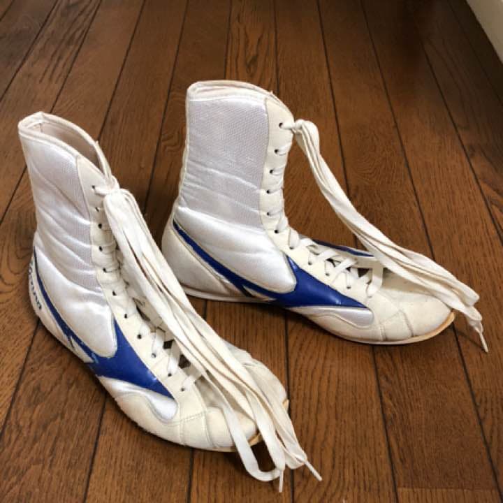 ボクシングシューズ MIZUNO RUN BIRD