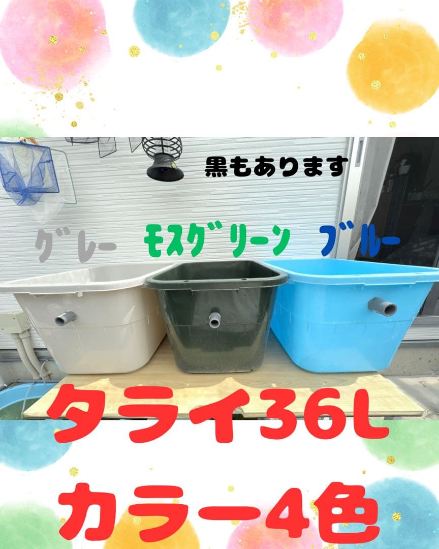 ★お買い得★たらい36L(3個)メダカ飼育容器オーバーフロー トロ舟プラ舟めだか