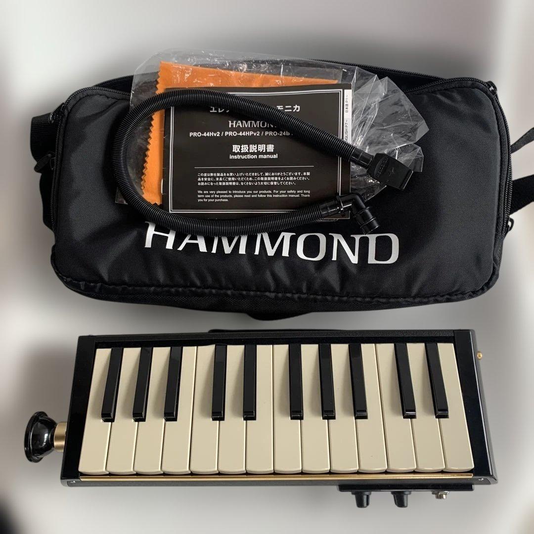 美品 hammond pro-24b 低音 エレキ 鍵盤ハーモニカ bass