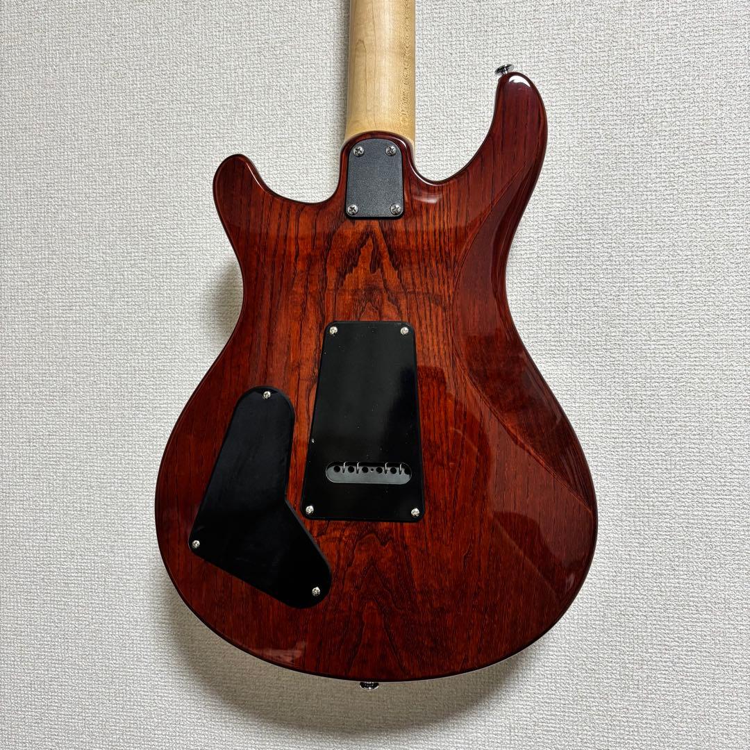PRS SE Swamp Ash Special 3.5kg良個体2023年製