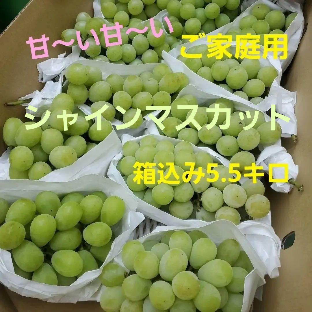 1⃣ 山梨県産 シャインマスカット １１房 箱込み5.5キロ