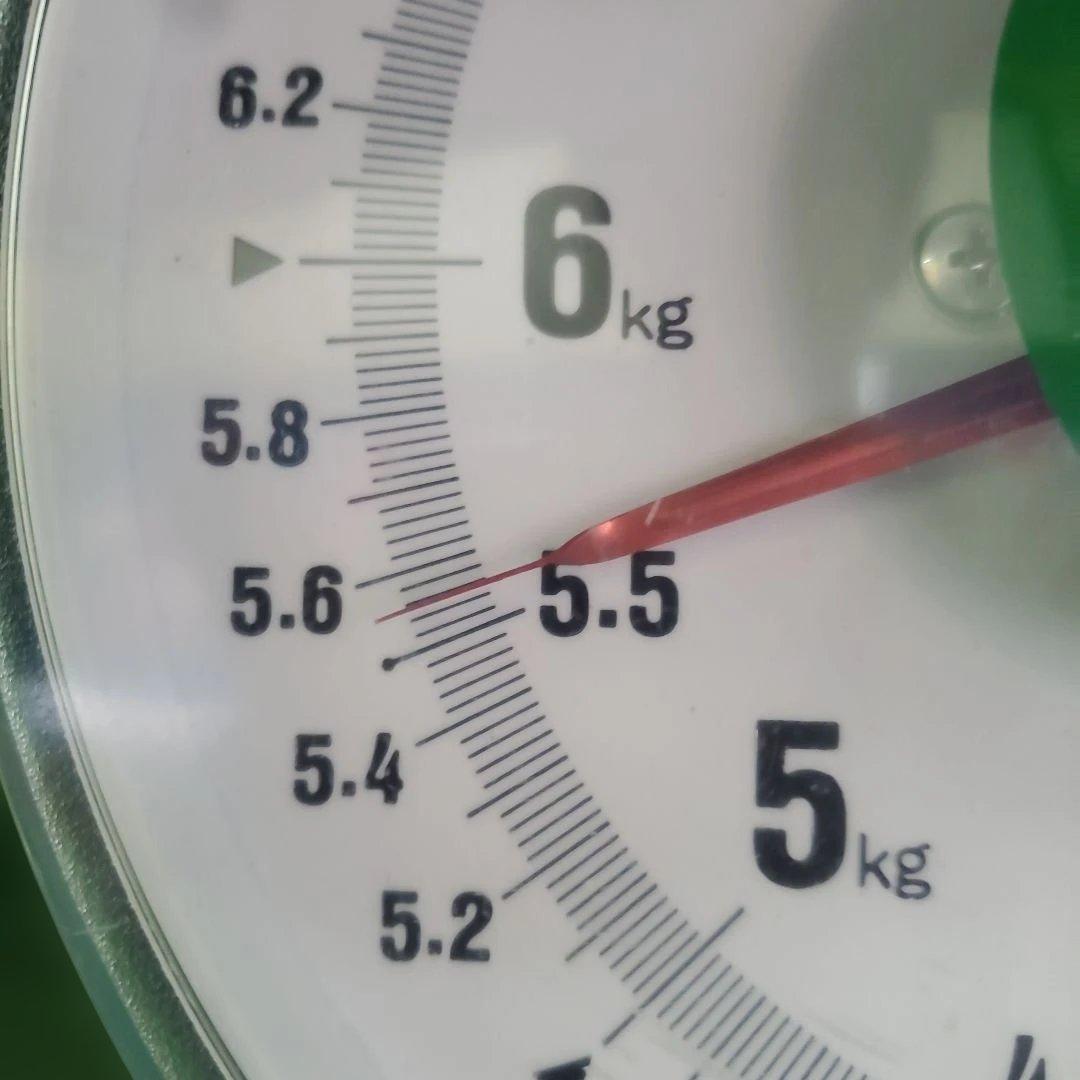 1⃣ 山梨県産 シャインマスカット １１房 箱込み5.5キロ