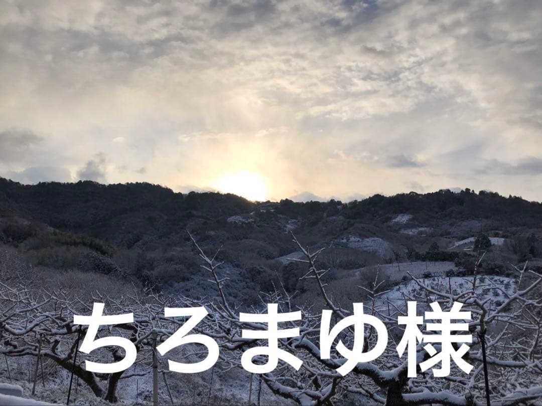 ちろまゆ　和田果樹園の果物　10kg