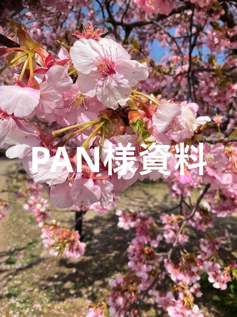 PAM様資料