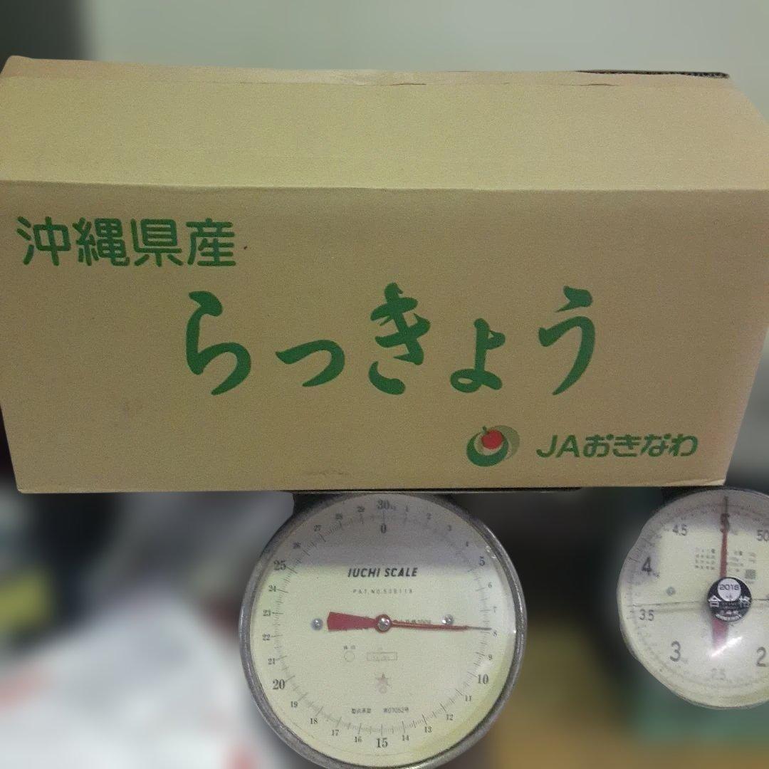 沖縄県産♪島らっきょう7.2㎏