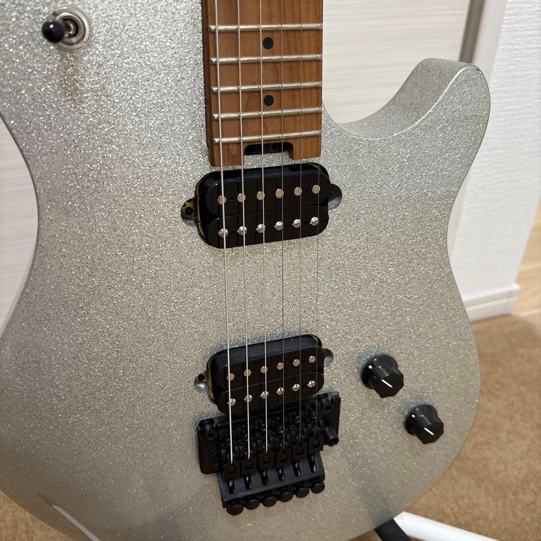 ギター EVH Wolfgang WG Standard BKD MP