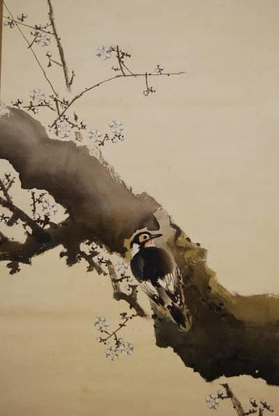 真作/水野秋峰/梅に小禽図/絹表装/布袋屋掛軸HB-575