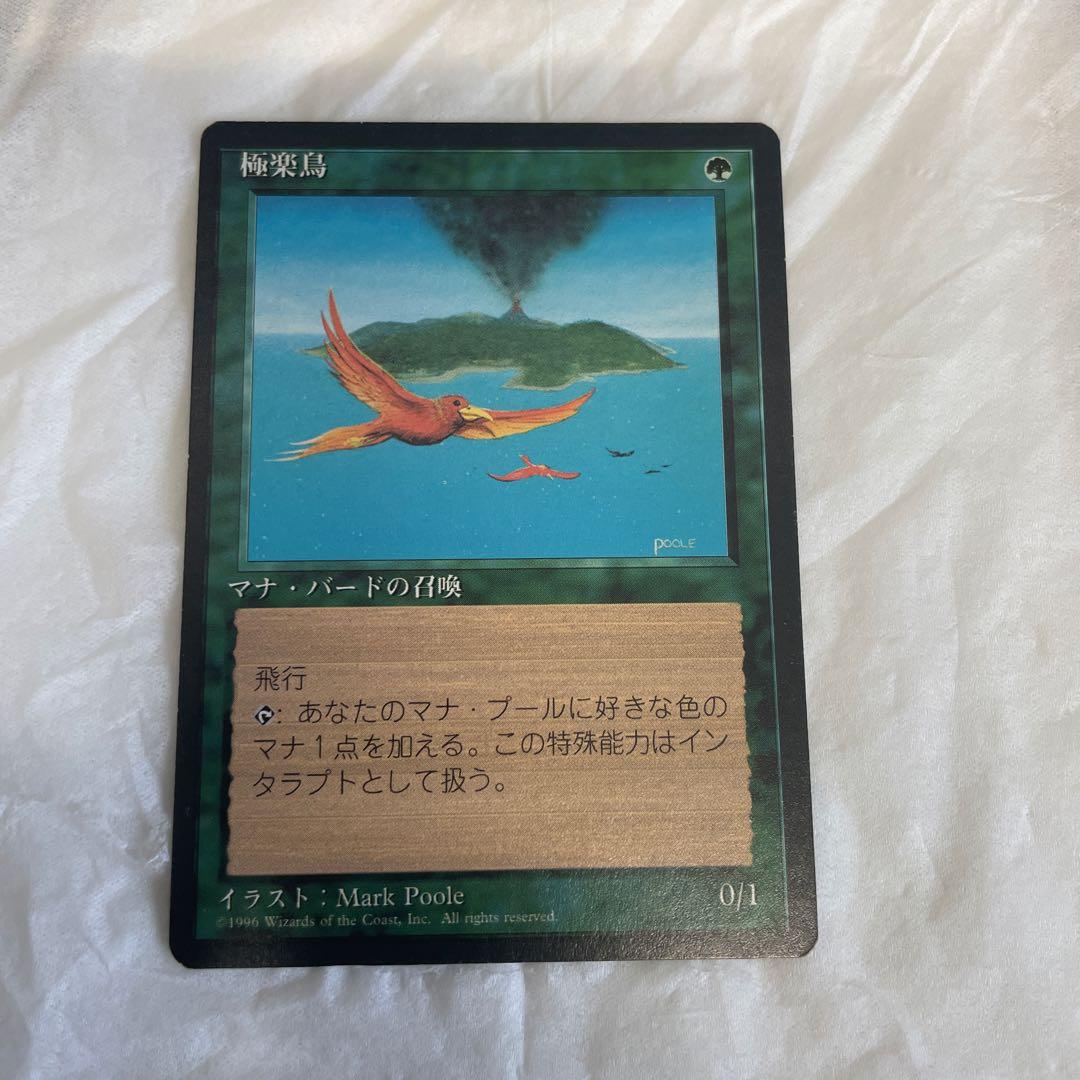 極楽鳥 黒枠 日本語 Bird of Paradise