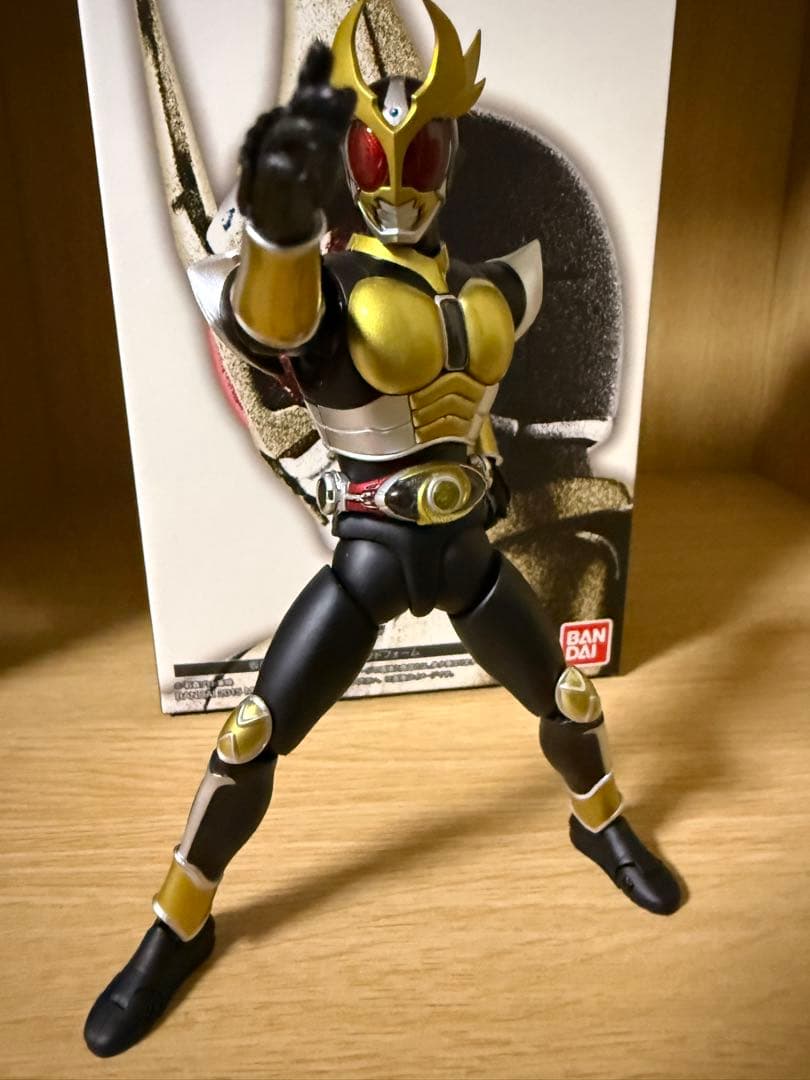 SHフィギュアーツ（真骨頂製法）仮面ライダー アギト