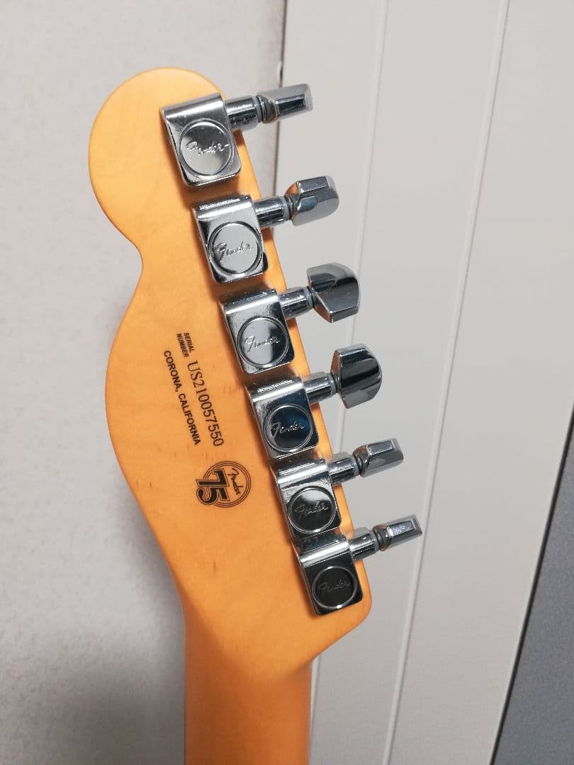 ギター American Professional II Telecaster