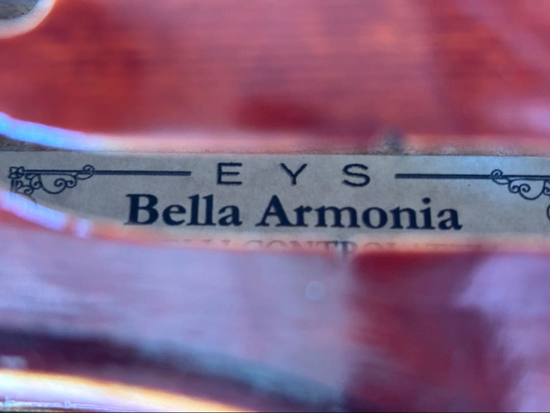 Fiumebianca バイオリンケースとBella Armonia バイオリン