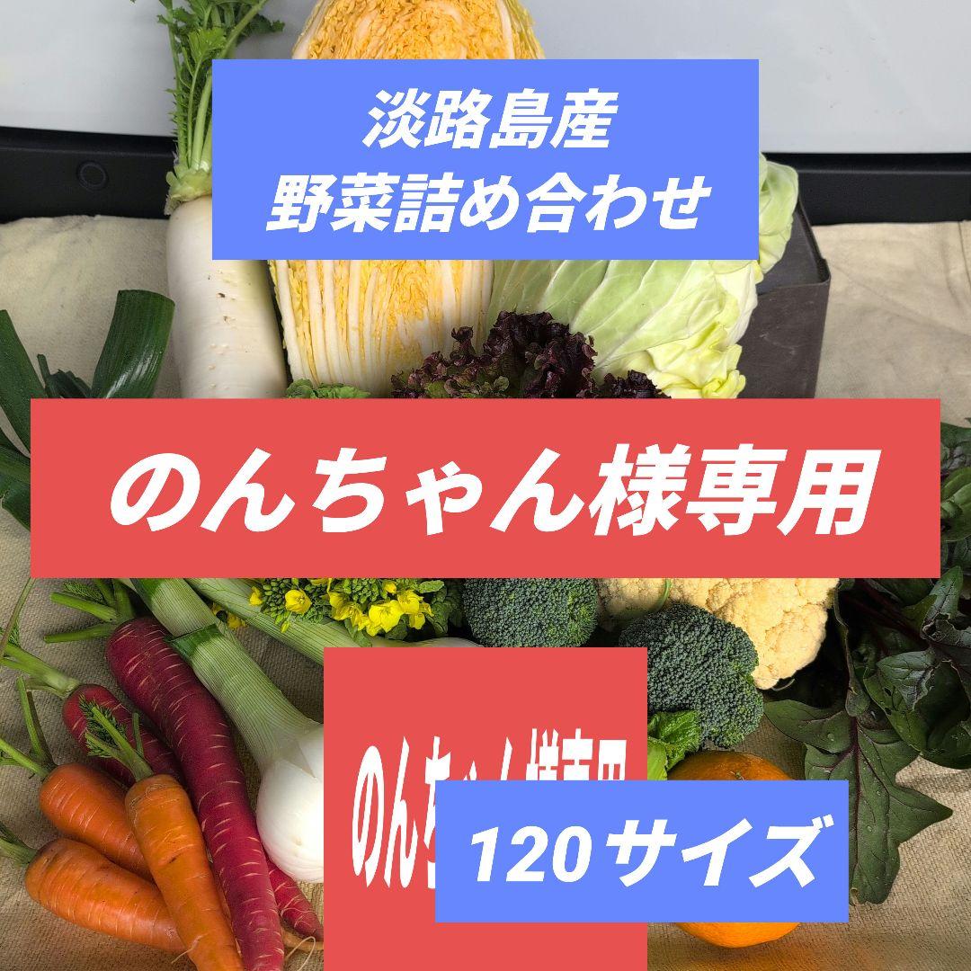 淡路島産野菜詰め合わせ 120サイズ