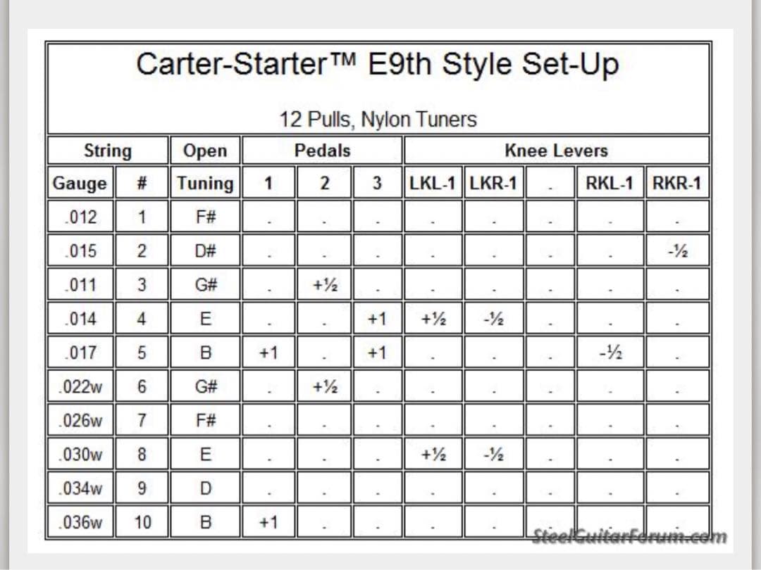 ペダルスチールギター E9 10弦