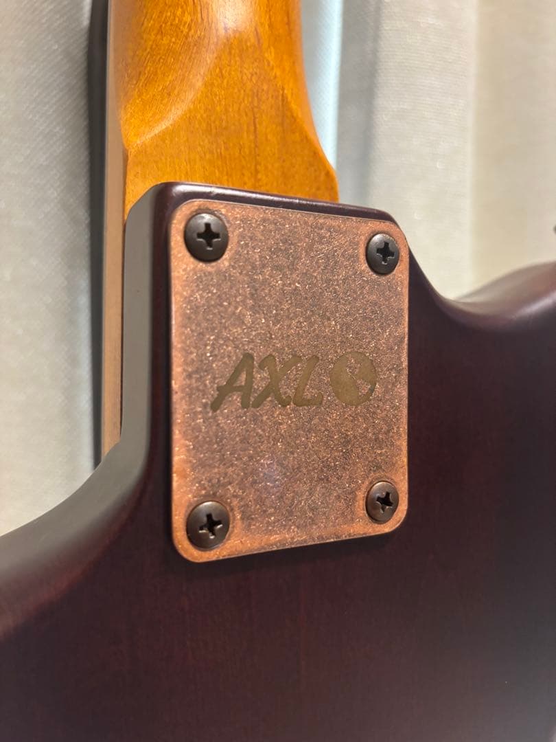 AXL Guitars AZ-820 ジャズマスター セイモアダンカンP-90