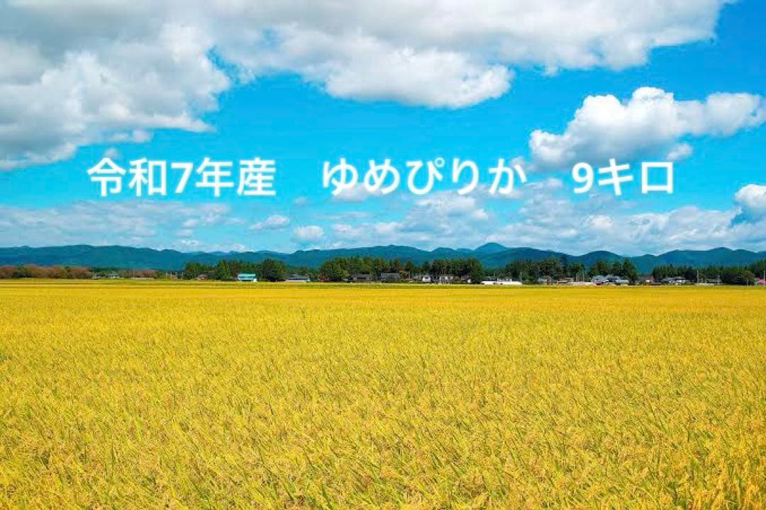 令和7年度産　ゆめぴりか　9キロ