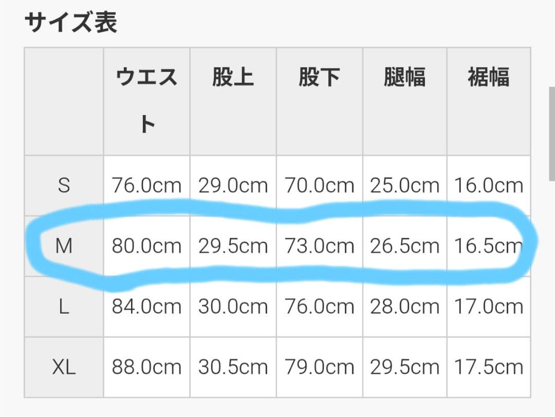 BRIEFING GOLF サイドラインロゴ 保温 ゴルフ パンツ ウェア