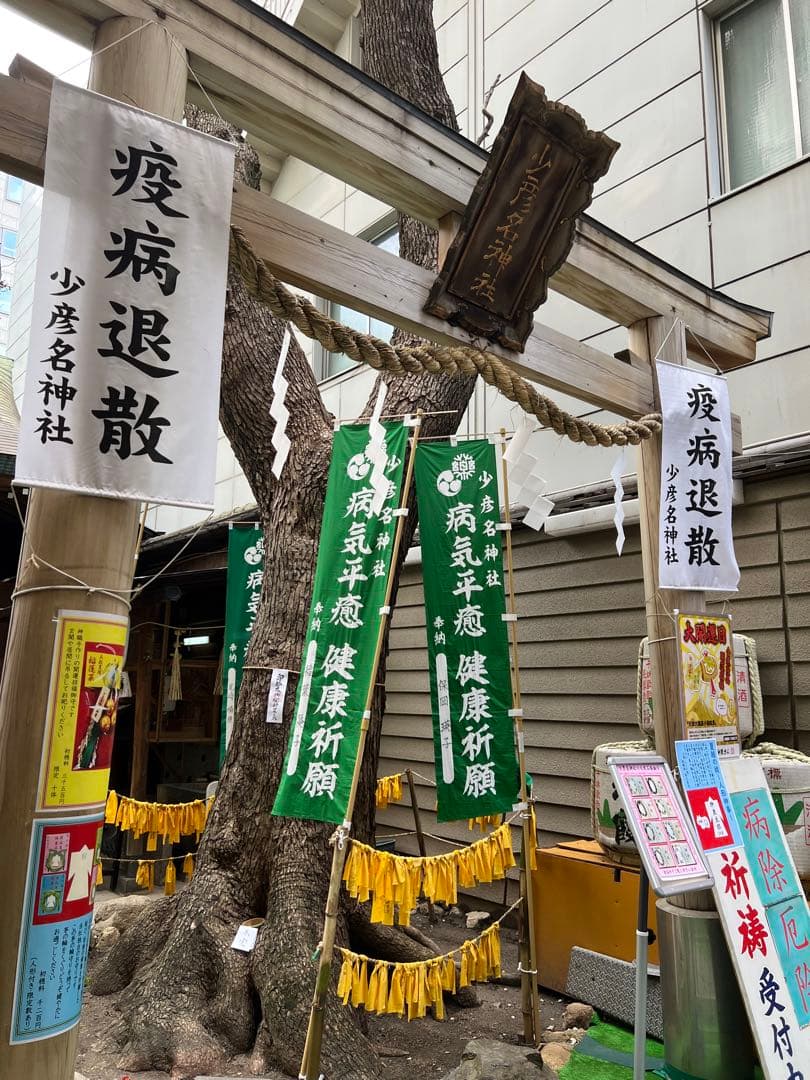 少彦名神社♡お薬の神様／最強開運日／天赦万倍日／　天赦御朱印帳／50冊限定