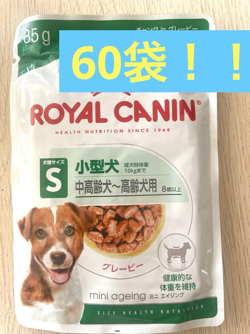  CANIN 小型犬用 ウエットフード 85g×12