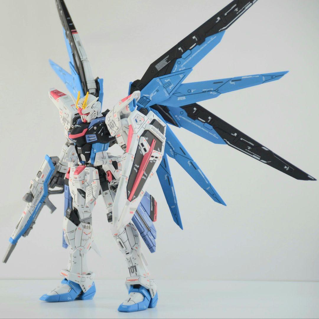 RG フリーダムガンダム 塗装 完成品 バンダイ ガンプラ 1/144