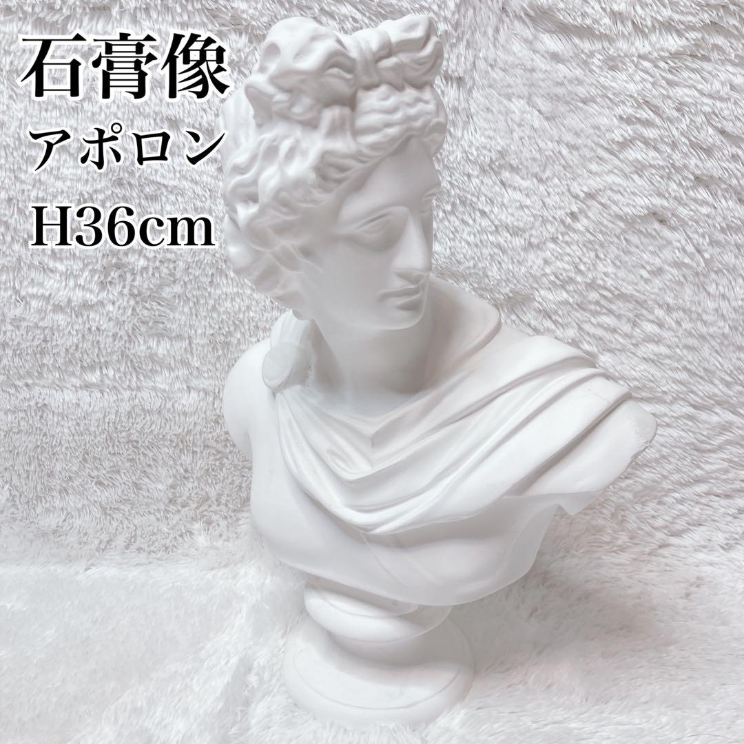 石膏像 アポロン ￼￼￼￼￼アポロ 胸像 デッサン 美術 彫刻 オブジェ
