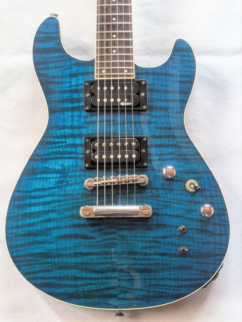 FERNANDES APG-55S Blue フェルナンデス　サスティナー