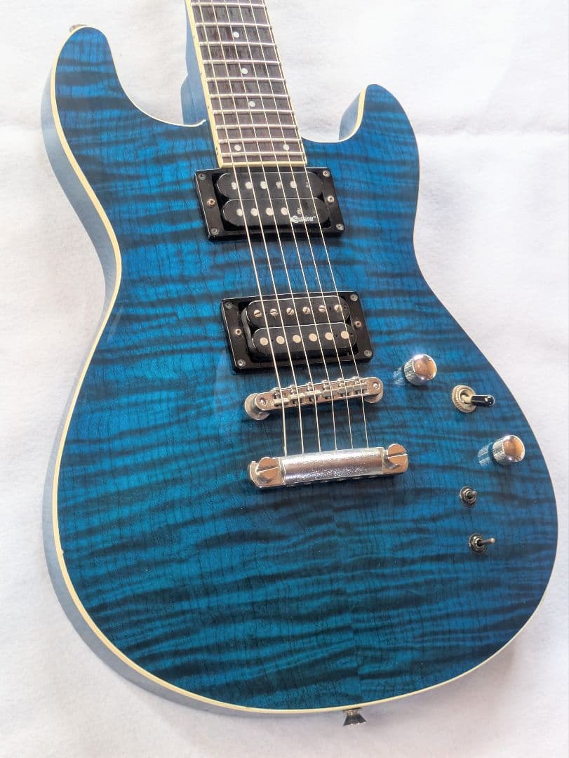 FERNANDES APG-55S Blue フェルナンデス　サスティナー
