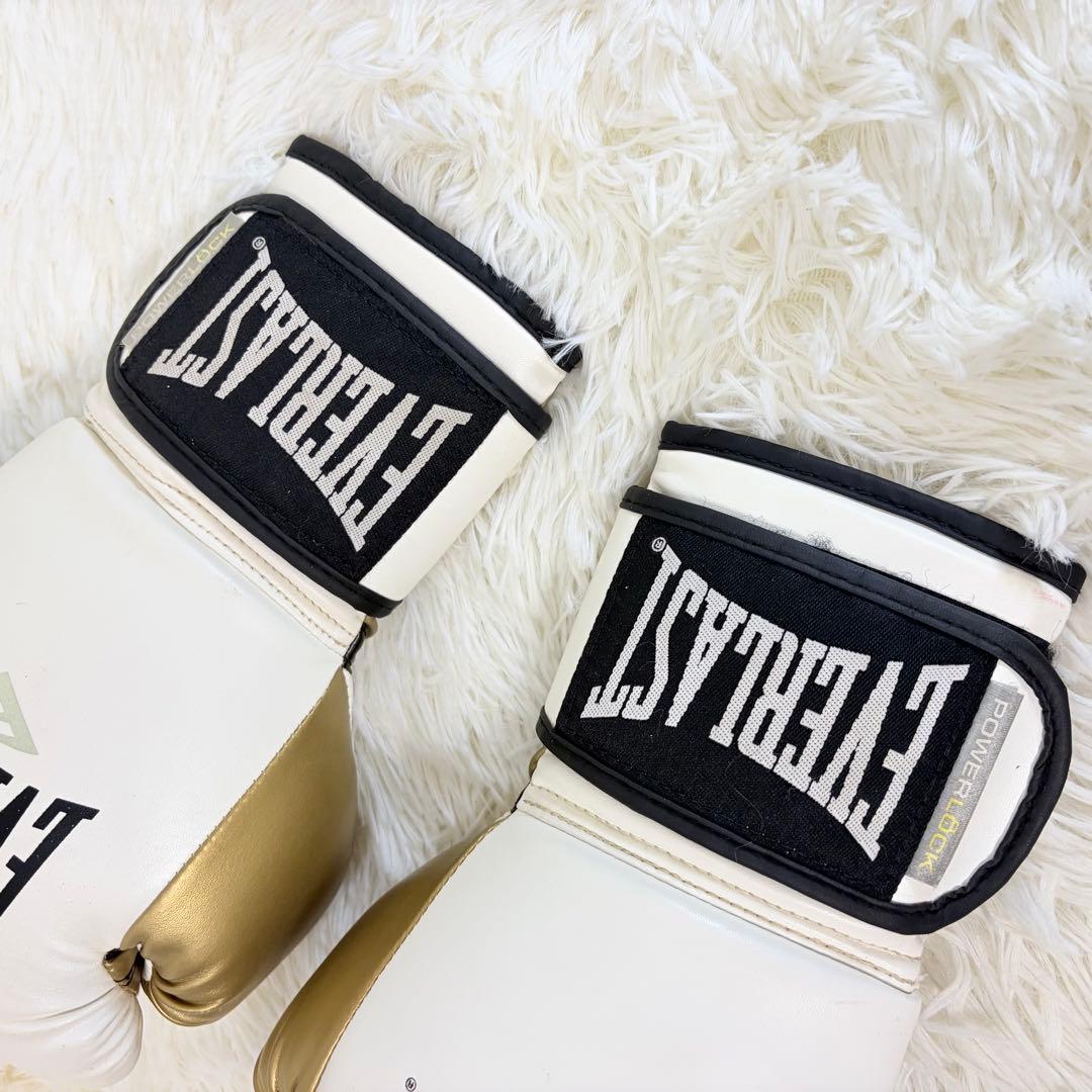 ボクシング EverlastPowerlock Boxing Gloves