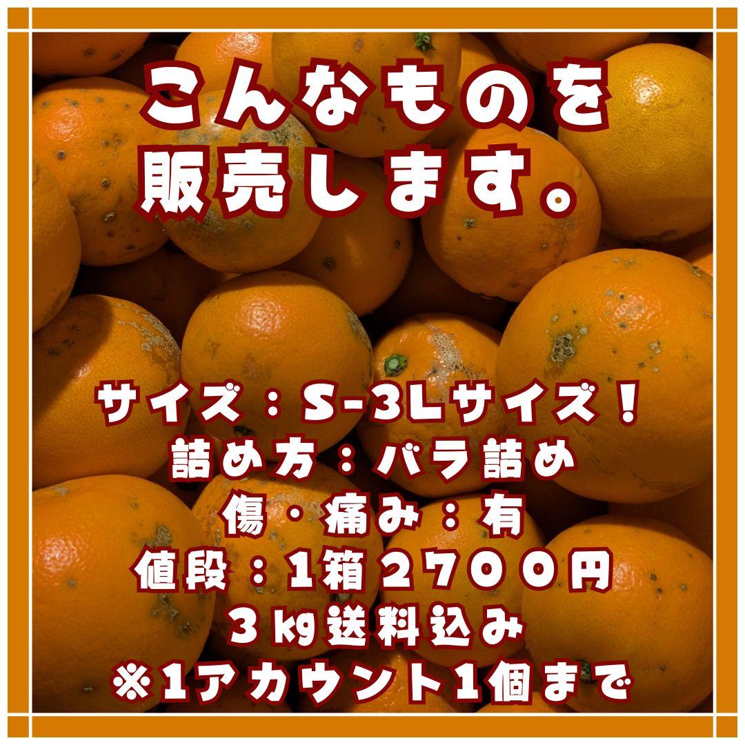 熊本みかん　熊本EC12 ひのスマイル　3キロ　バラ詰め家庭用　メルカリショップ