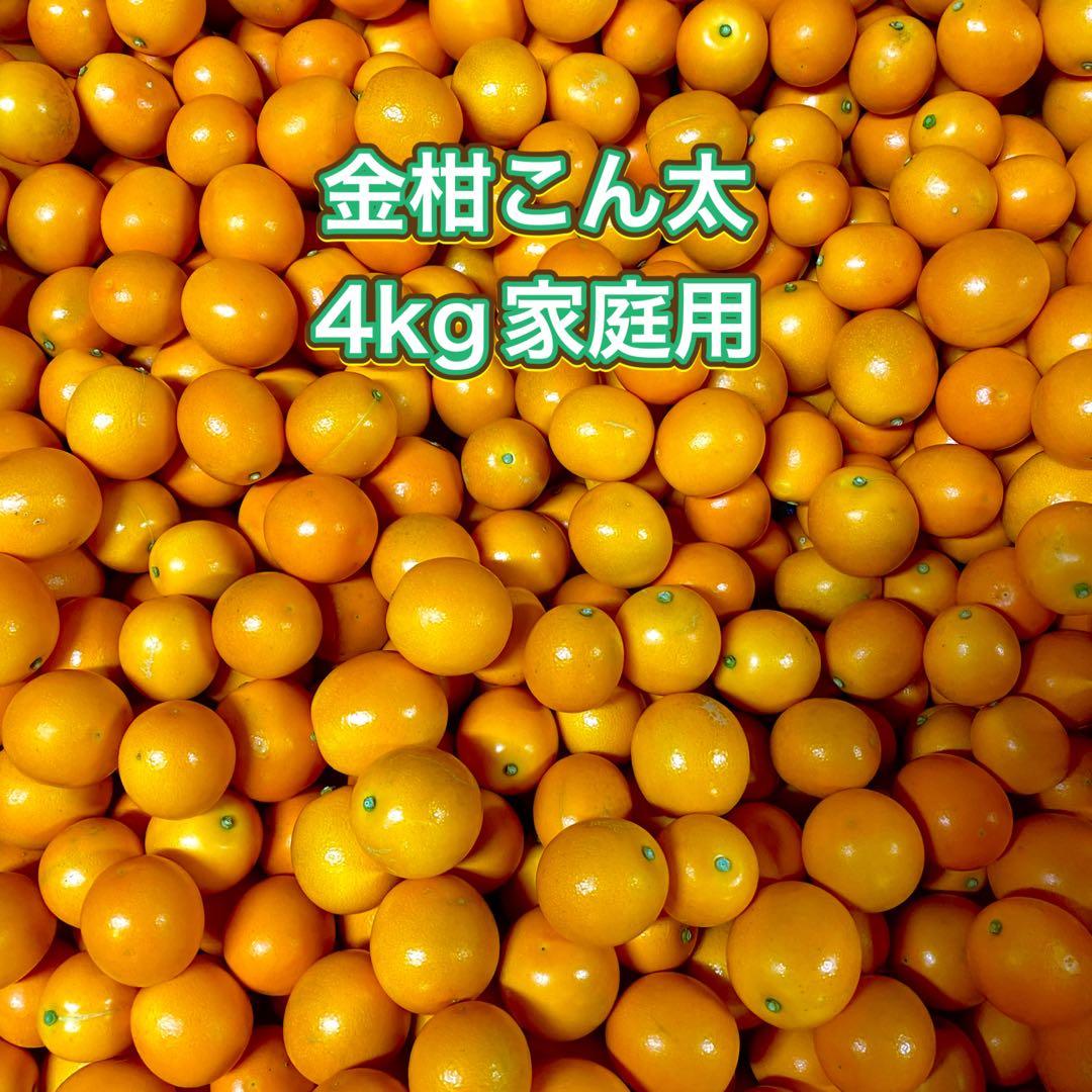 金柑こん太　家庭用4kg