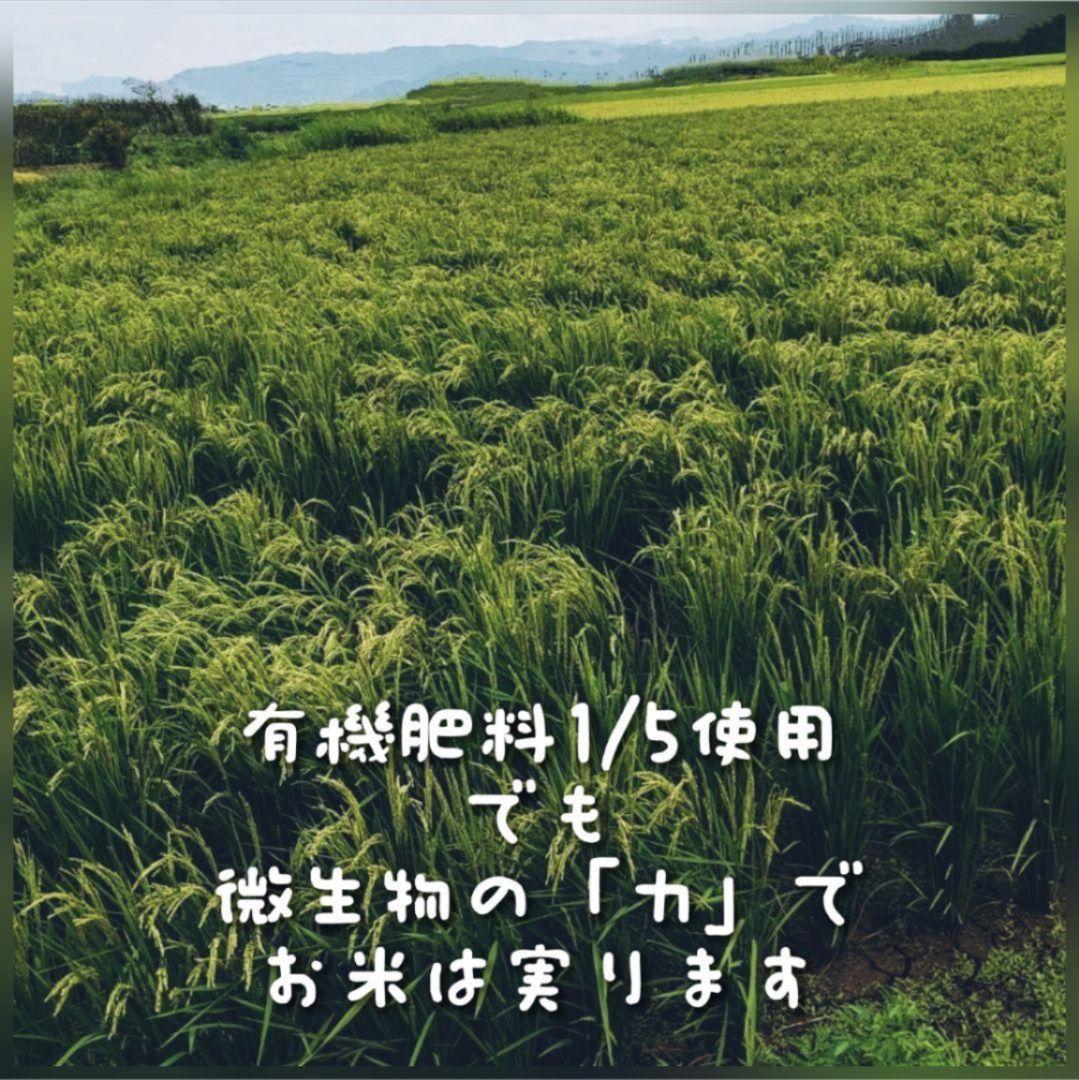 ササニシキ 玄米24kg 令和7年産 農薬不使用化学肥料不使用