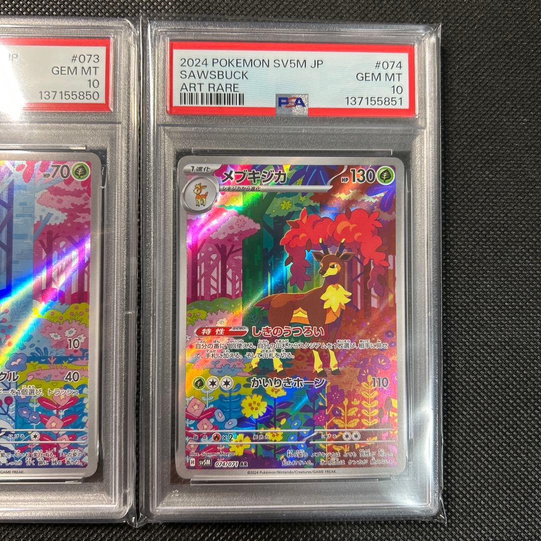 PSA10 シキジカ メブキジカ AR 連番 DEERLING SAWSBUCK