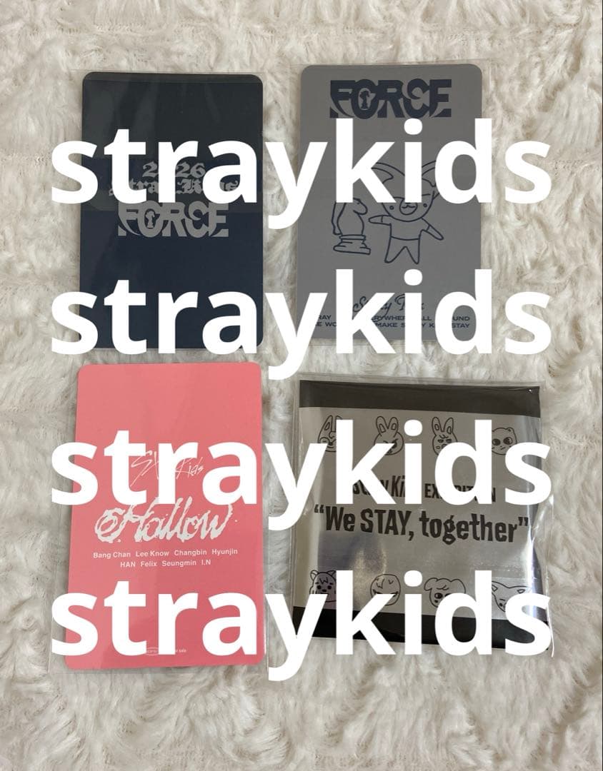 スキズ Stray Kids アイエン シーグリ特典 会場限定トレカ バッチ