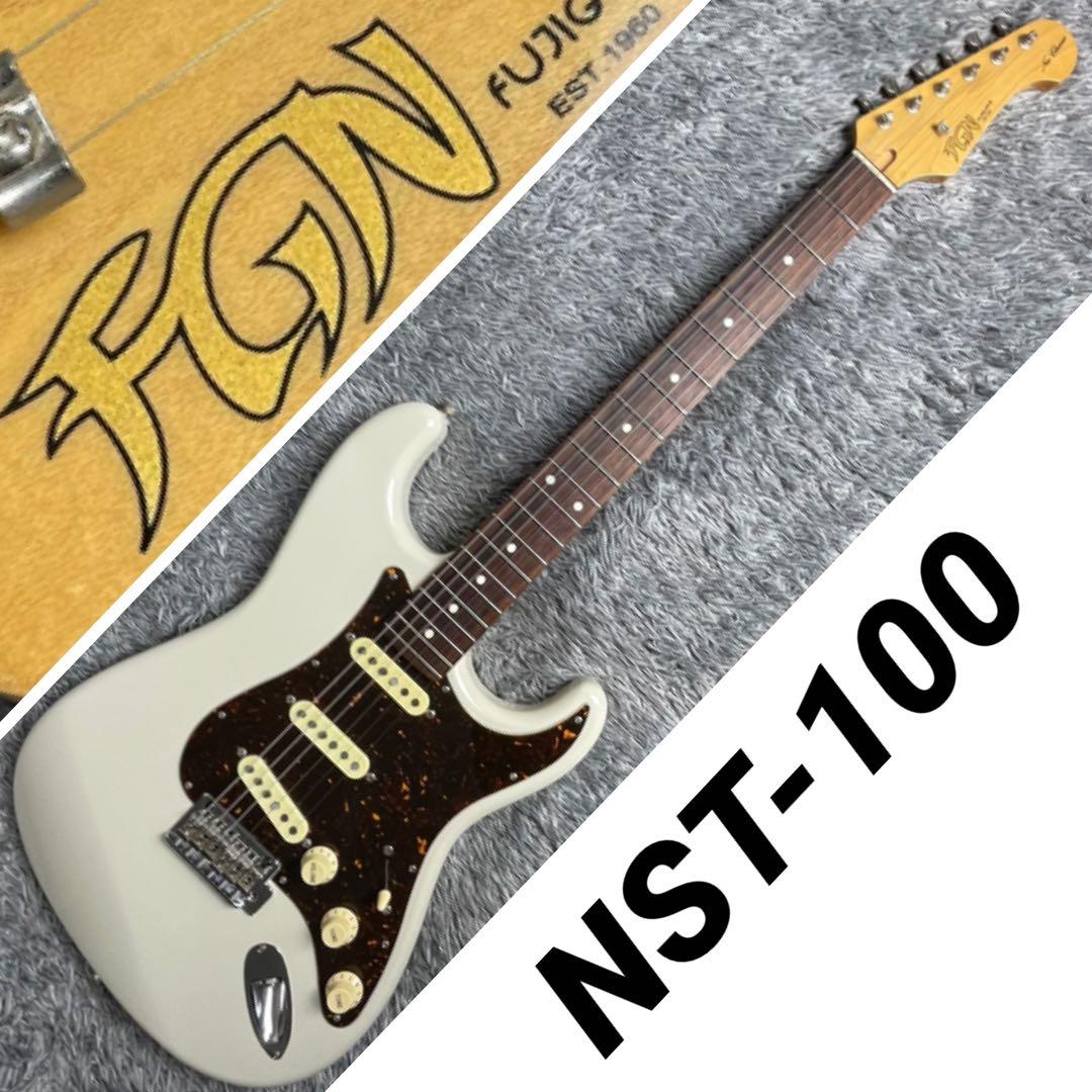 ギター Fujigen Neo Classic NST-100 VWH