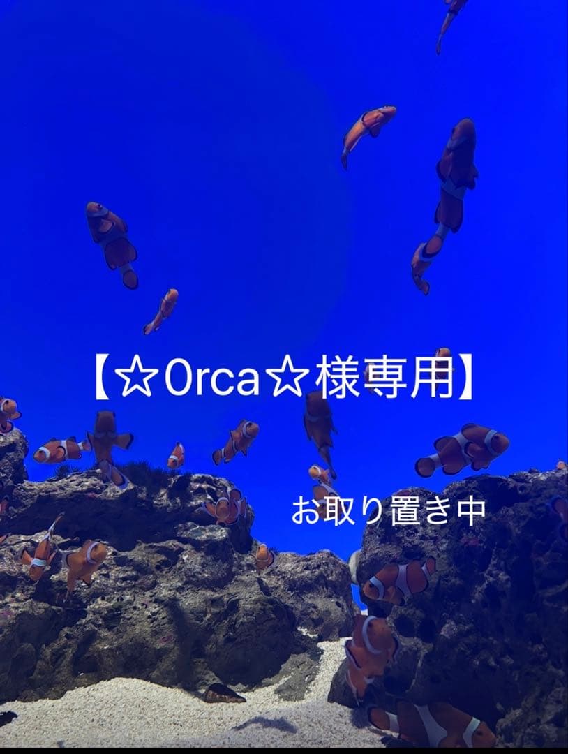 須磨シーワールド　オルカくじ　シャチ　ぬいぐるみ　1等&2等　セット売り