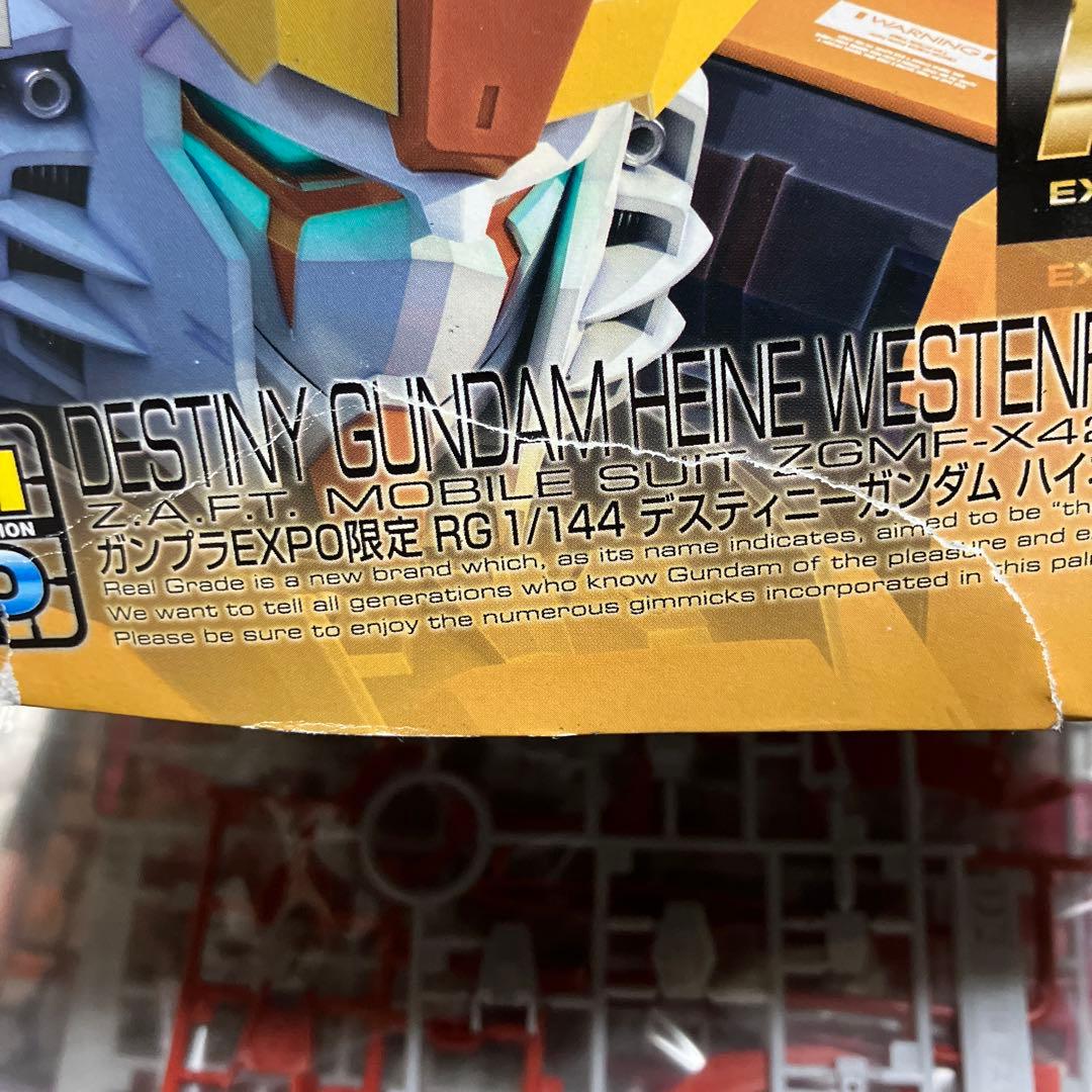 RG 1/144 ガンダムEXPO限定 デスティニーガンダム ハイネカラーver