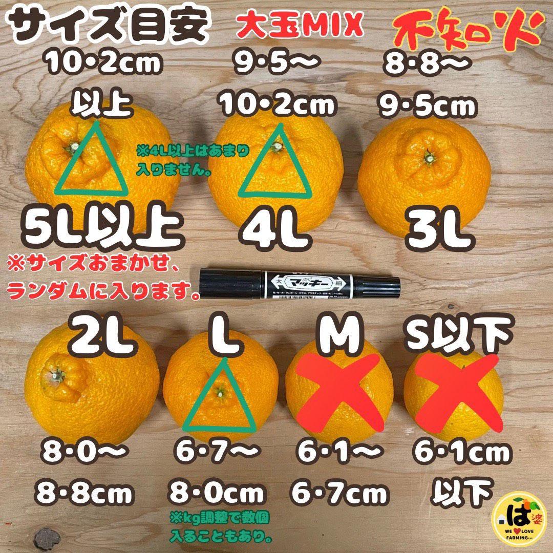※確認用　家庭用　大玉MIX箱込み4.5kg以上【露地栽培　不知火　デコポン】