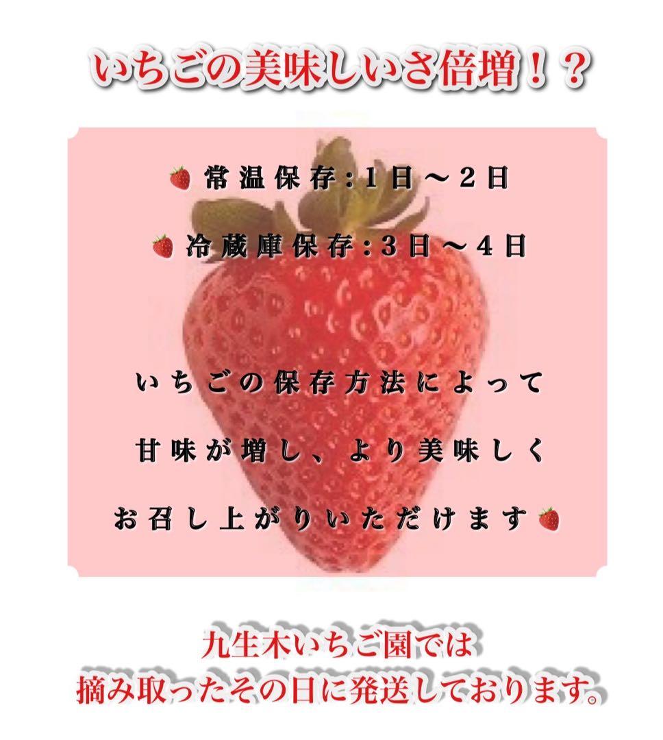 三田村さま専用　とちあいか いちご 4箱