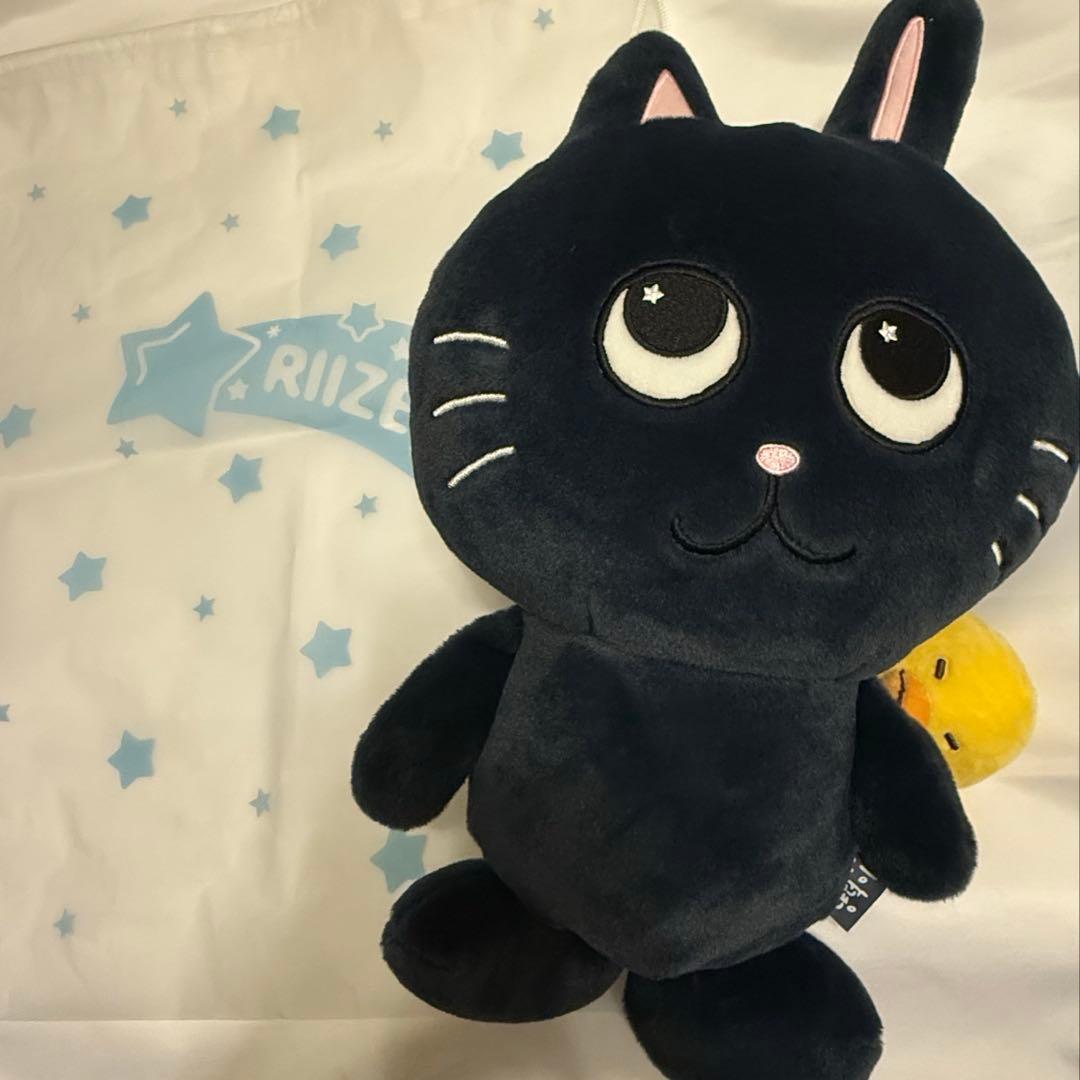 RIIZE ウォンビン トニャンドク 40cm ぬいぐるみ