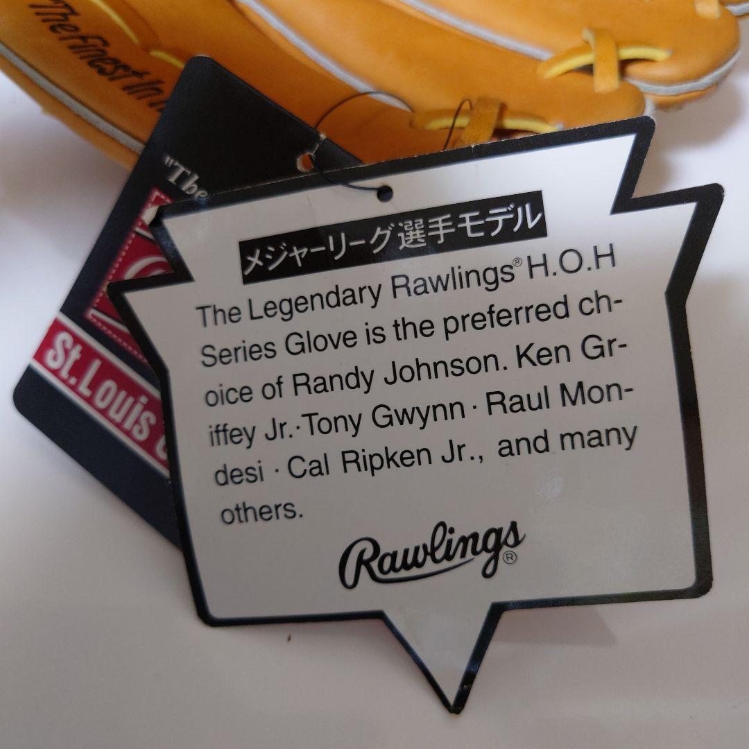Rawlingsデライノ．デシール モデル軟式用グローブ